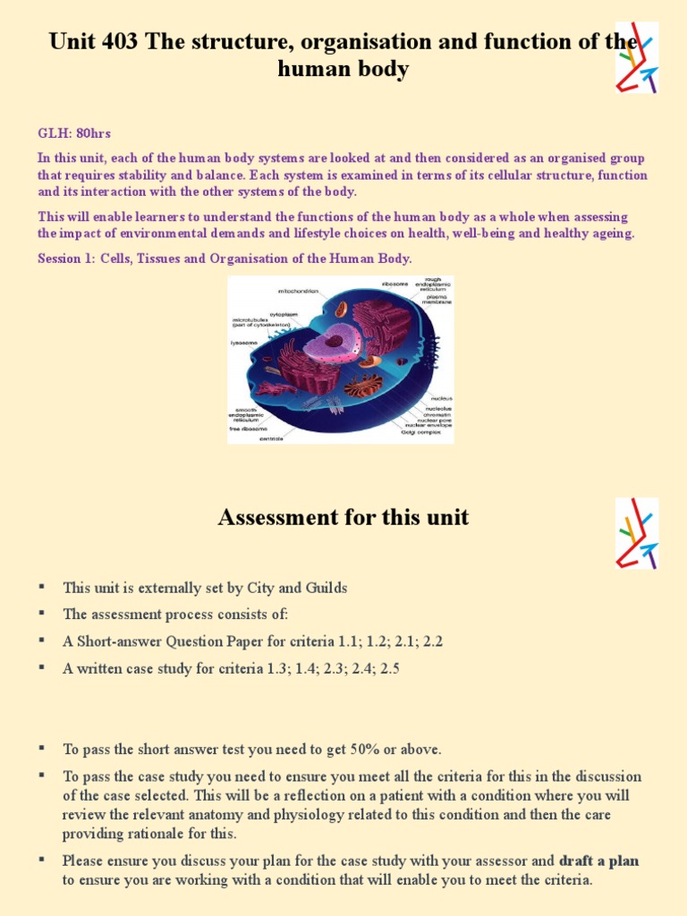 The Structure, Function and Organisation of The Human Body | PDF | Cell ...