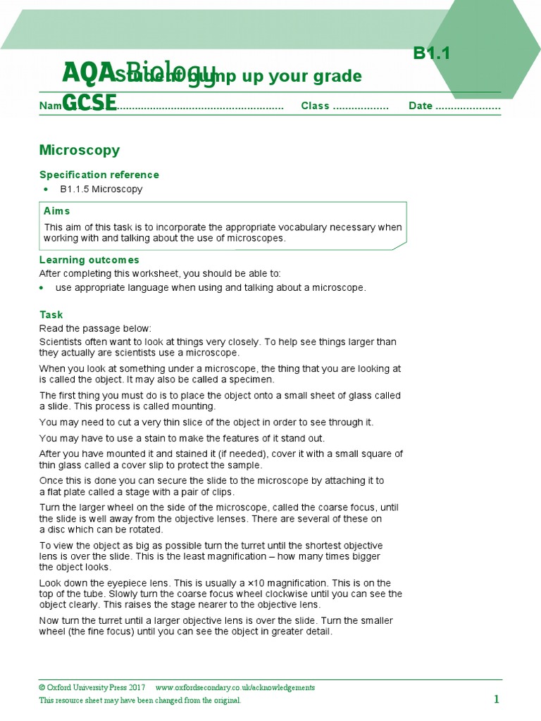 B1.1 Student Bump Up Your Grade: Micros | PDF | Microscope | Scientific ...