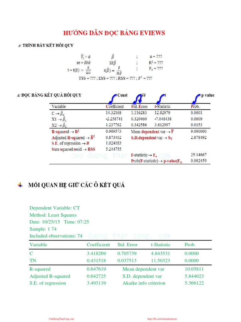 123doc Huong Dan Doc Ban Eviews Kinh Te Luong | PDF