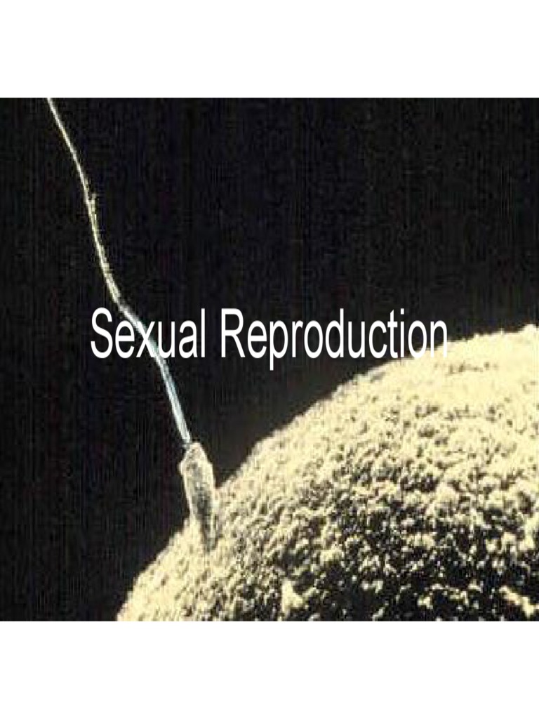 Sexual Reproduction Slides | PDF