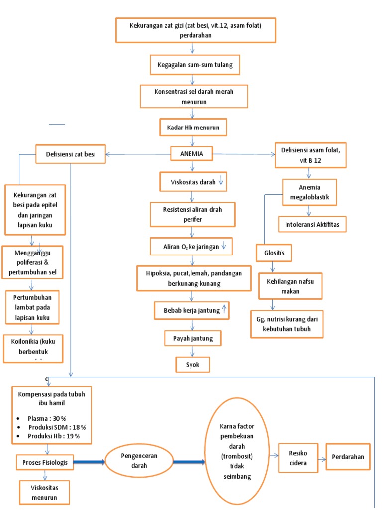 Patofisiologi Anemia | PDF
