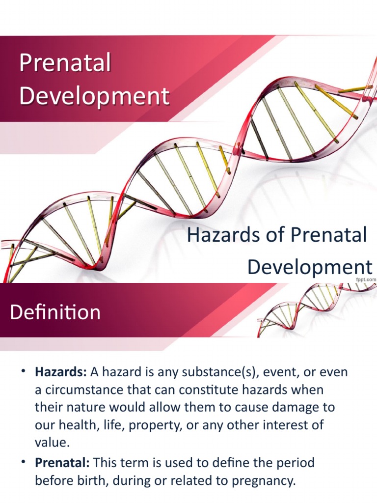 Hazards of Prenatal Development | PDF | Prenatal Development | Pregnancy