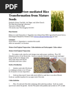 Microbiology Reagent List | PDF | Biology | Clinical Pathology