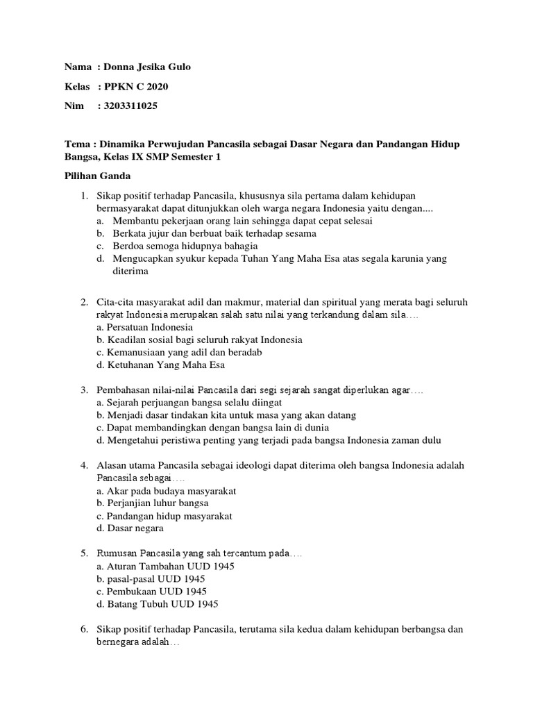 Soal HOTS - Donna Jesika Gulo | PDF