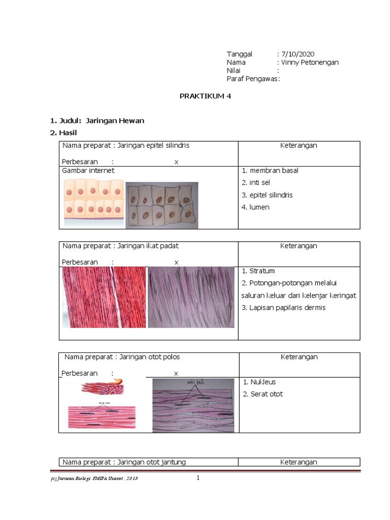 Laprak 4 Biodas | PDF