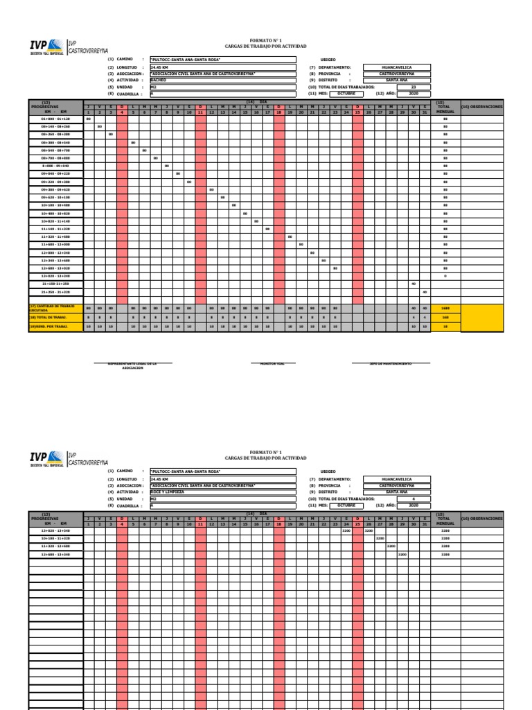 Formato #1 de IVP | PDF