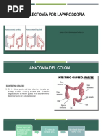 Anatomía y Fisiología Anorrectal | PDF | Recto | Sistema digestivo