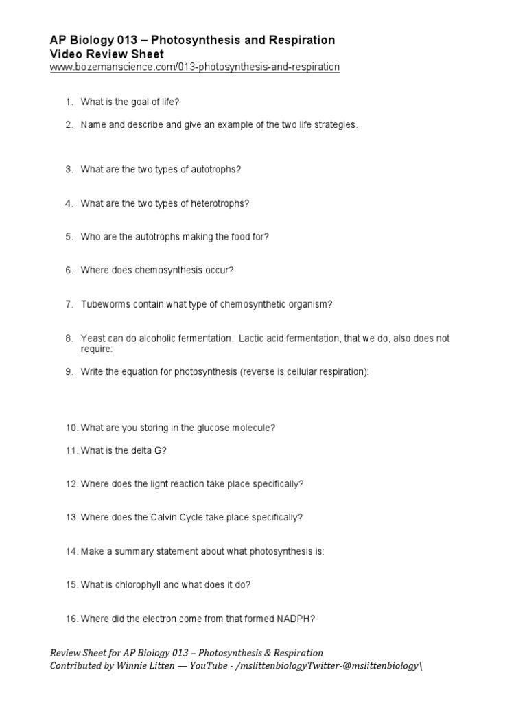 AP+Bio 013+Photosynthesis++Respiration+Worksheet WL | PDF | Cellular ...
