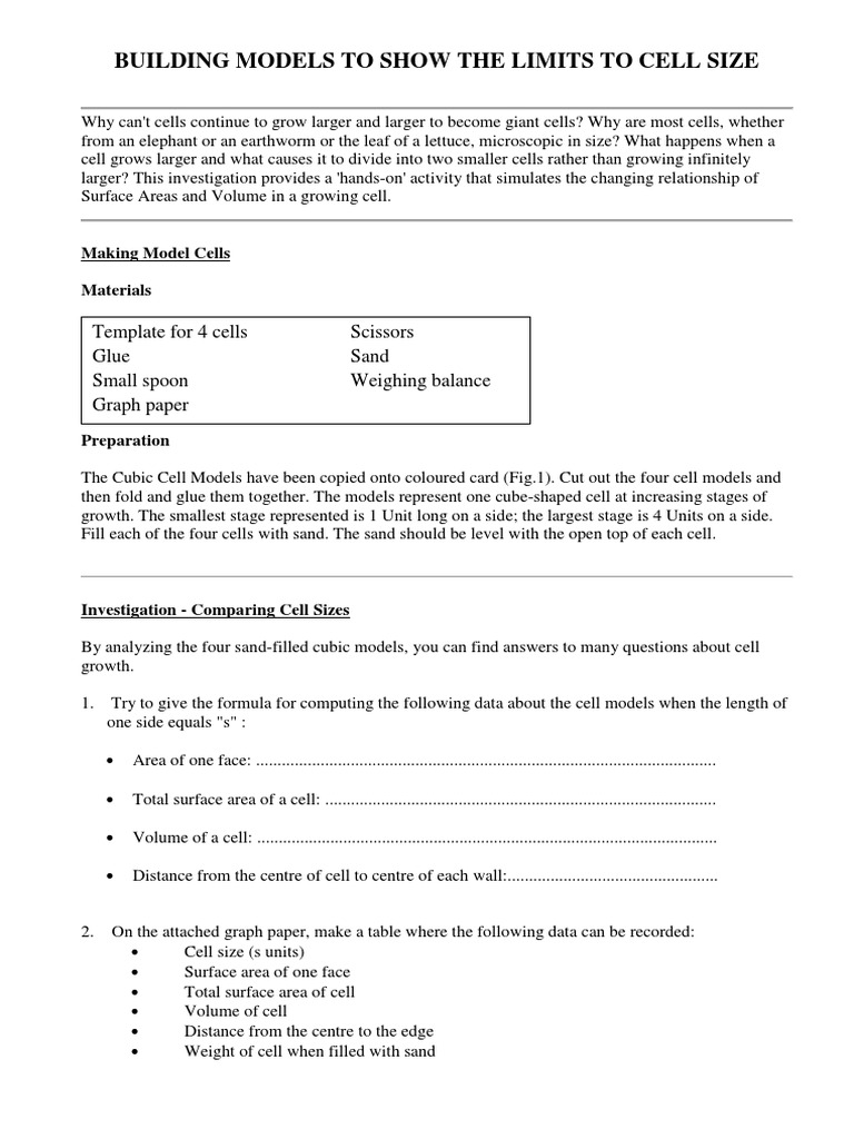 Modelling Cell Srface Area: Volume Ratios | PDF | Surface Area | Cell ...