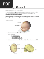 Anatomia Radiológica Dos Ossos Da Face e Cranio | PDF | Crânio | Cabeça ...