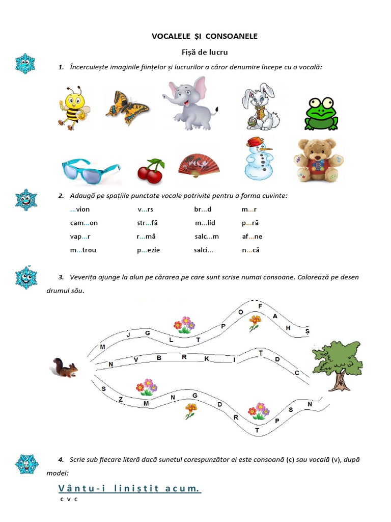 Vocale Si Consoane | PDF