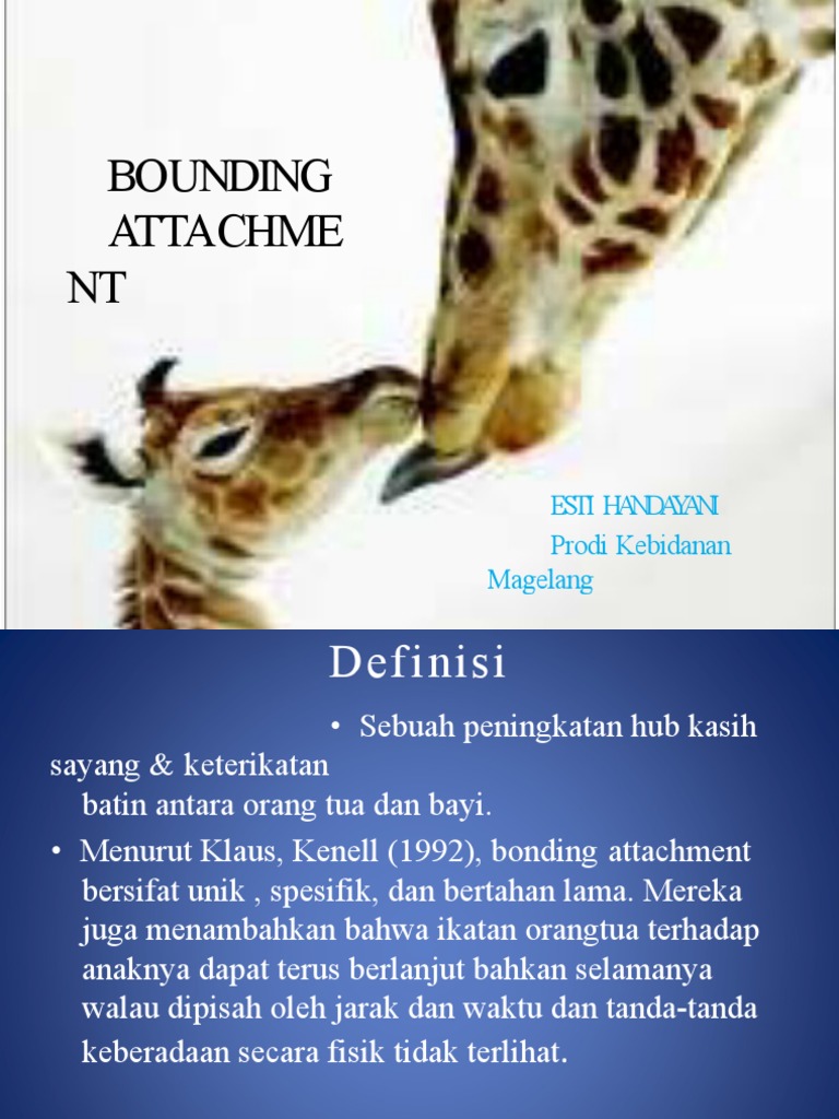 BOUNDING ATTACHMENT Fix | PDF