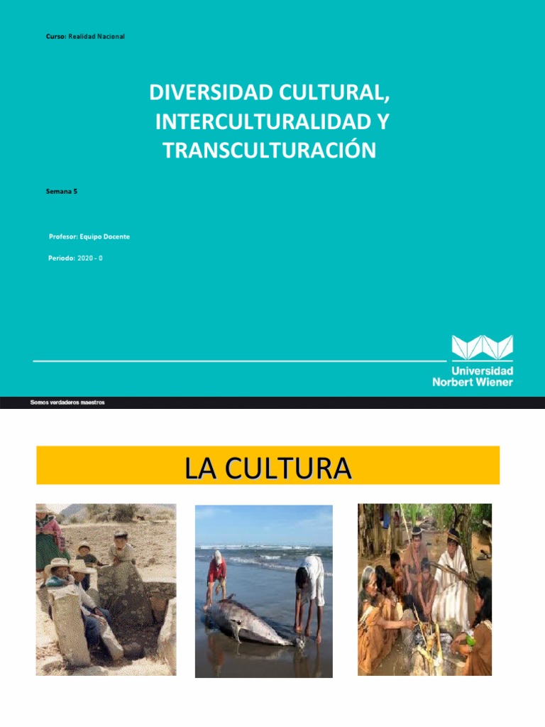 Diversidad e Identidad Nacional | PDF | Multiculturalismo ...