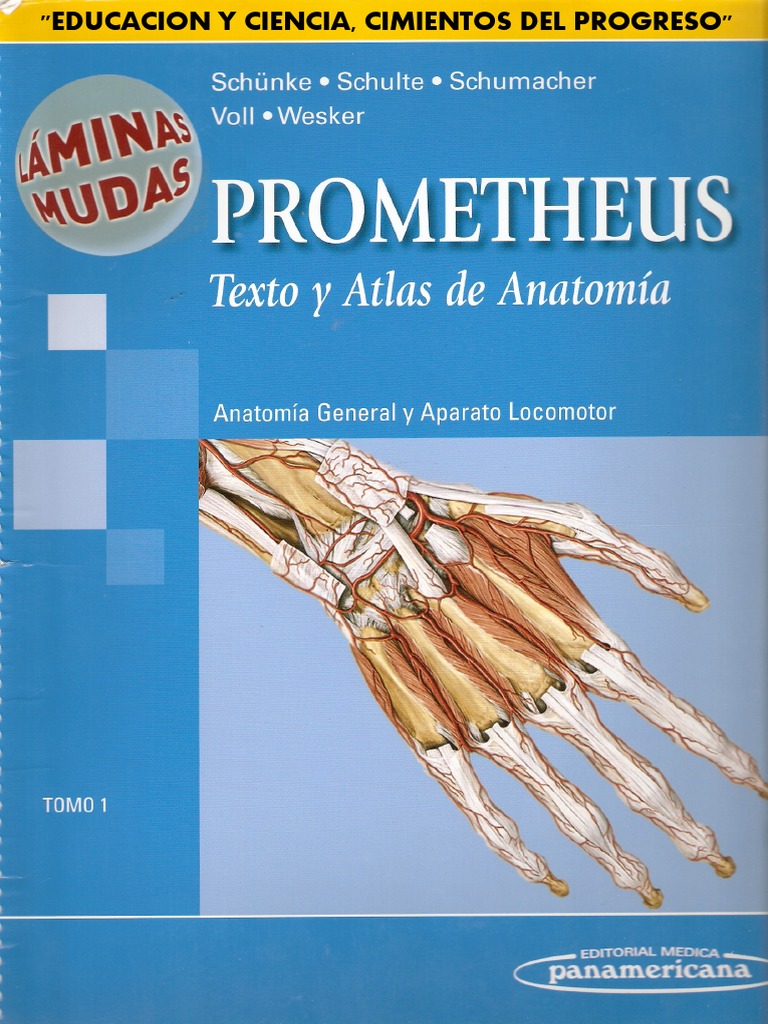 Prometheus Texto y Atlas de Anatomia Laminas Mudas Tomo 1 | PDF
