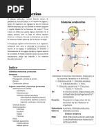 Absceso Mamario | PDF | Pecho | Medicina CLINICA