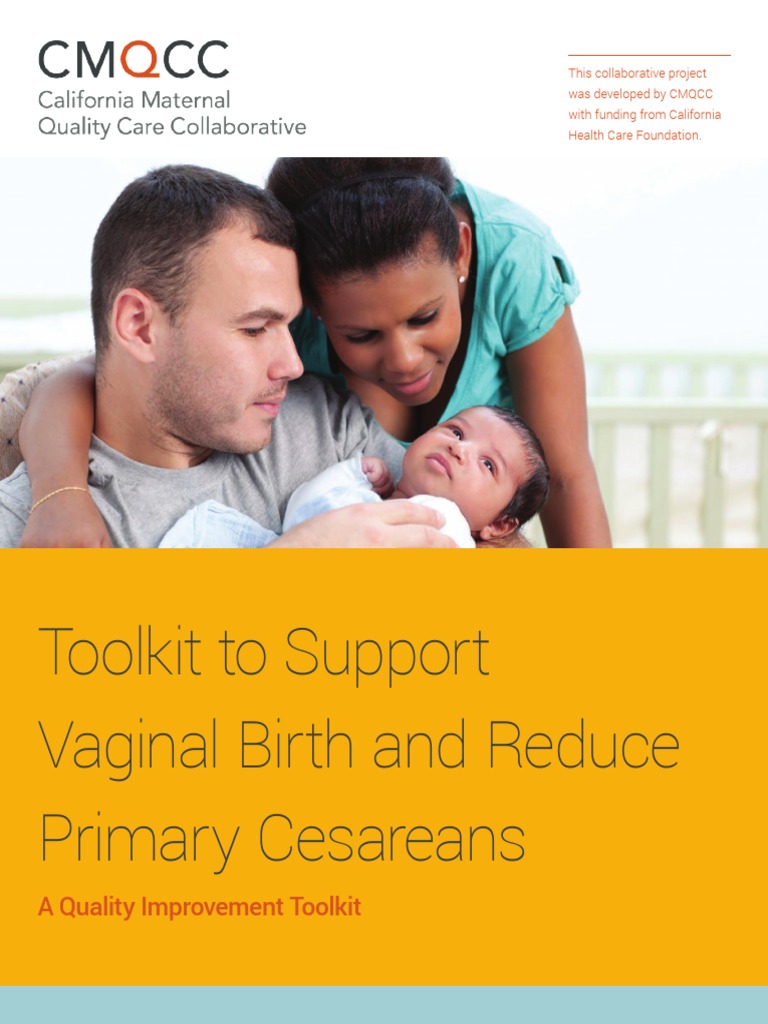 VBirth Toolkit Final | PDF | Childbirth | Caesarean Section