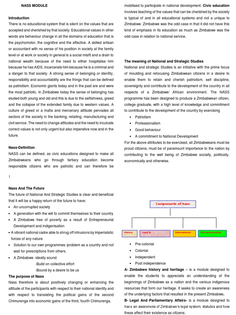 National and Strategic Studies NASS PDF | PDF