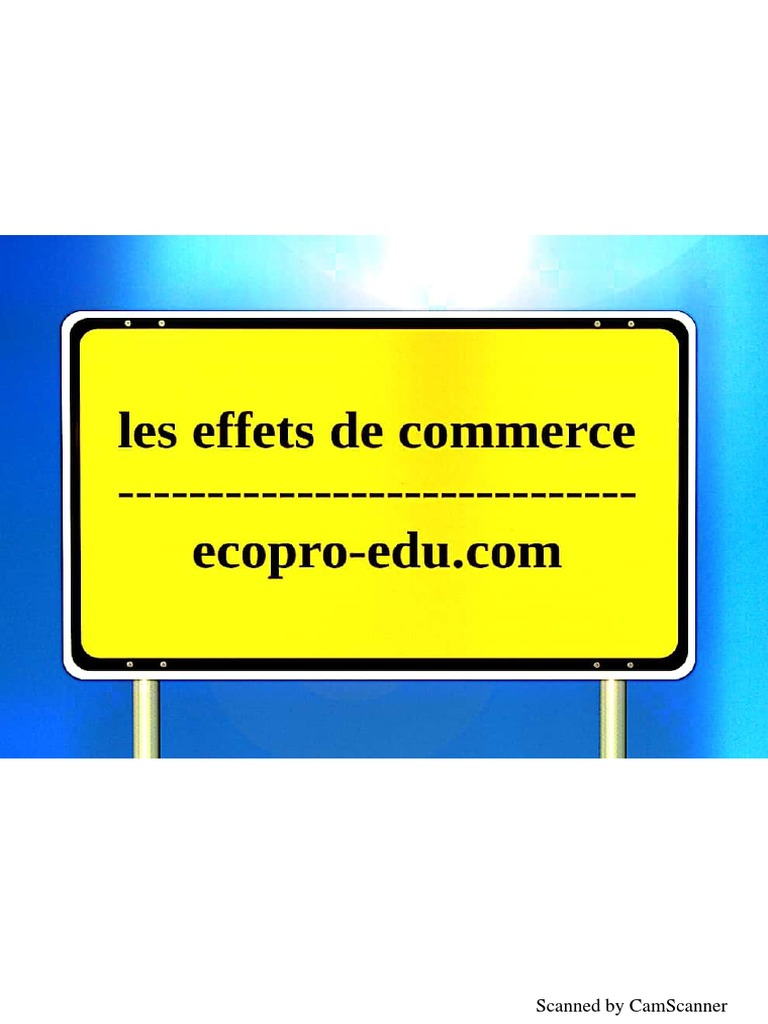 TD 2 Les Effets de Commerce | PDF