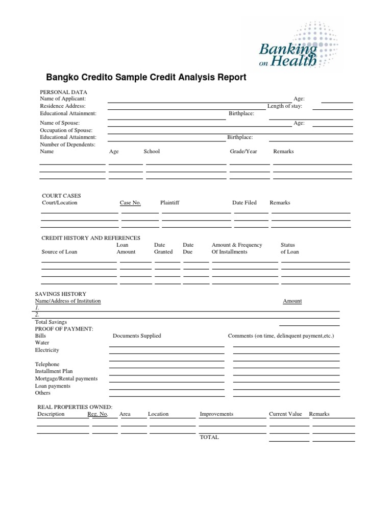 4657 File Sample Credit Analysis Report Blank and Completed | PDF ...