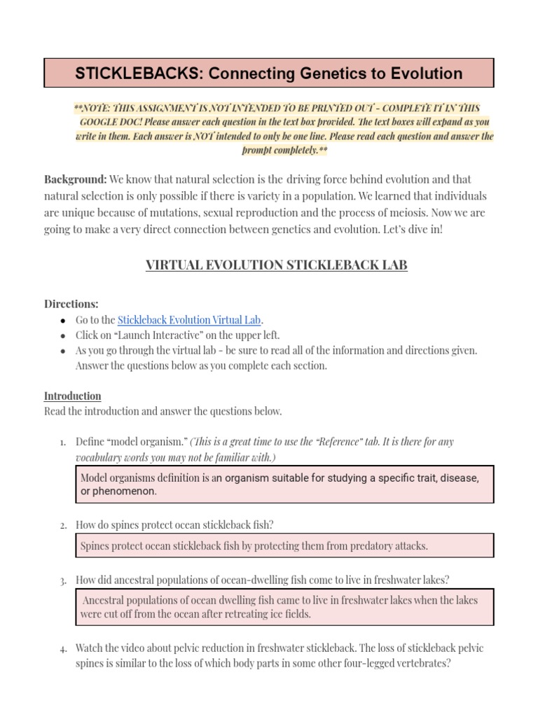 Sticklebacks - Connecting Genetics To Evolution | PDF | Evolution | Pelvis