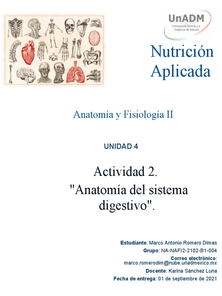 Afi2 U4 A2 Mard | PDF | Sistema digestivo humano | Digestión