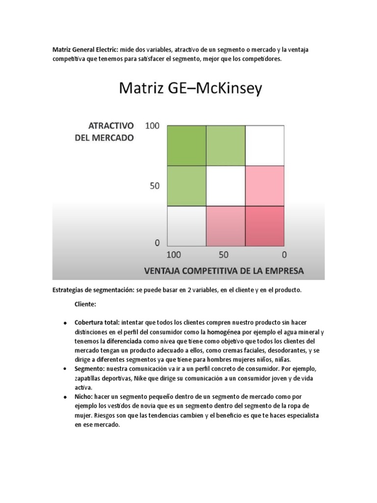 Matriz General Electric | PDF