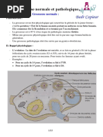 Le Partogramme | PDF | Accouchement | Sciences de la santé