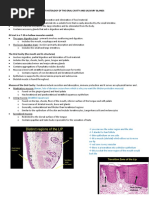 Anatomy of Abdominal Viscera Overview | PDF | Peritoneum | Stomach