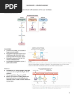 Anatomy of Abdominal Viscera Overview | PDF | Peritoneum | Stomach