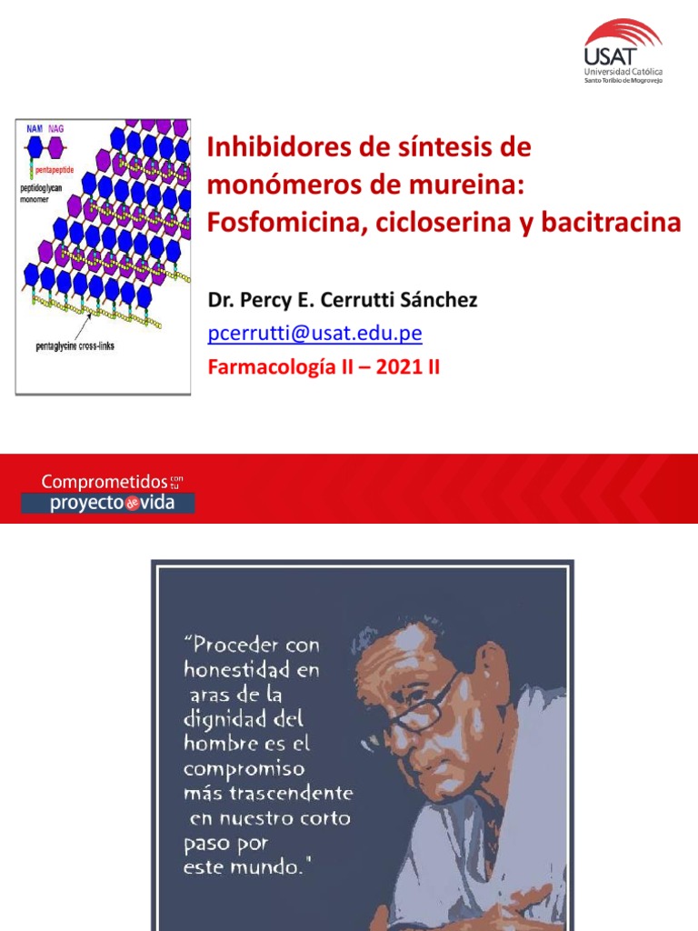 Inhibidores de Sintesis de Mureina | PDF | Farmacocinética | Farmacología