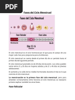 GUIA de ESTUDIO Especuloscopía | PDF | Vagina | Medicina