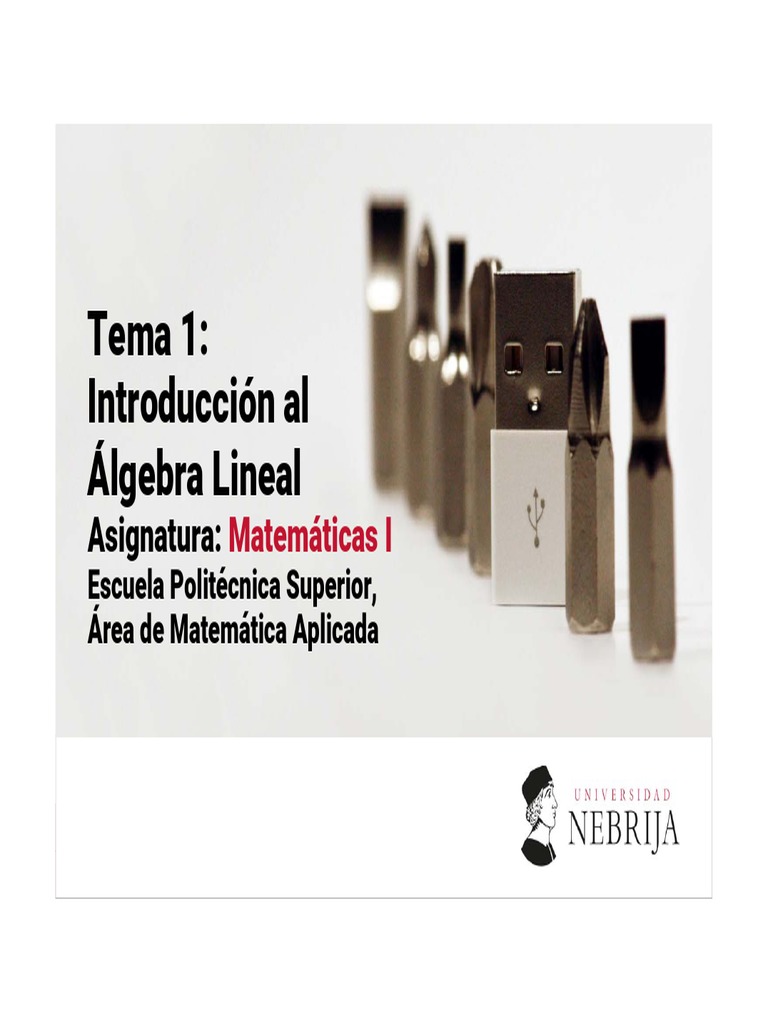 Tema1. Introducción Al Algebra Lineal | PDF | Espacio vectorial ...