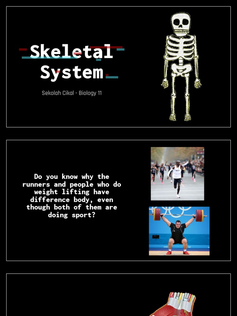 Week 10 Bio 11 Skeletal System | PDF | Skeleton | Bone