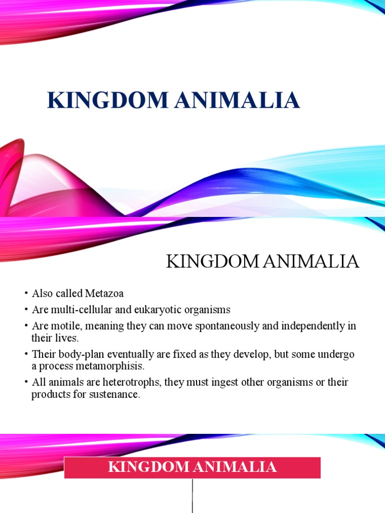 Kingdom Animalia | PDF | Sexual Reproduction | Invertebrate