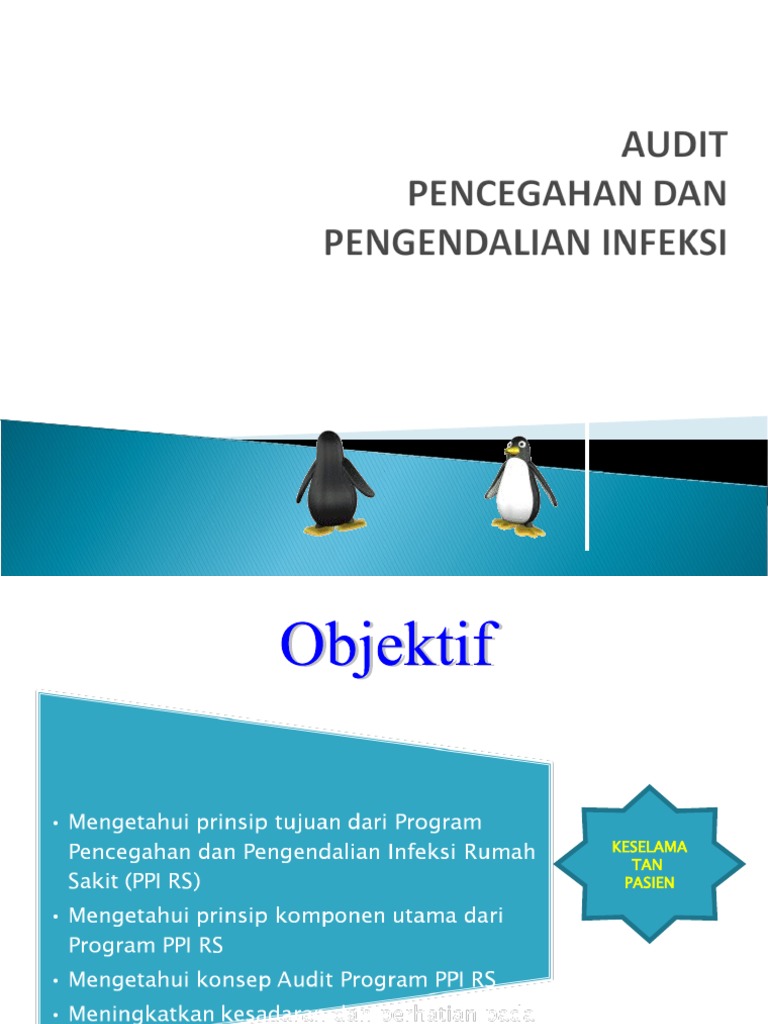 Audit PPI | PDF