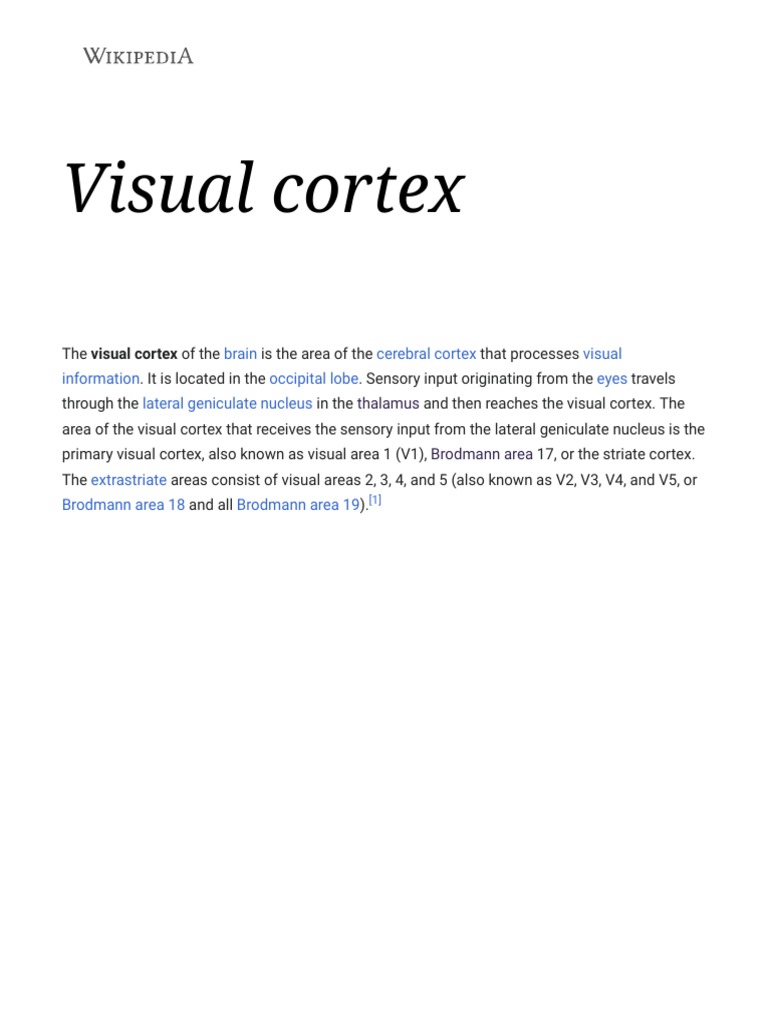 Visual Cortex - Wikipedia | PDF | Visual Cortex | Senses