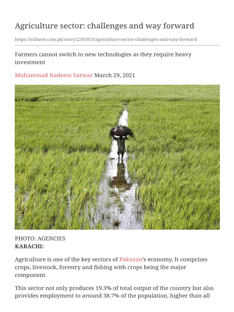 Agriculture Sector Challenges and Way Forward+ | PDF | Agriculture ...