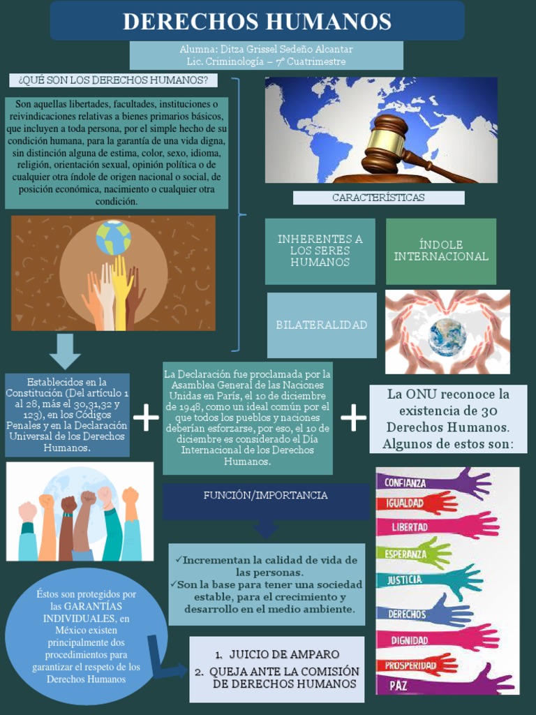 Infografía - Derechos Humanos | PDF | Derechos humanos | Gobierno