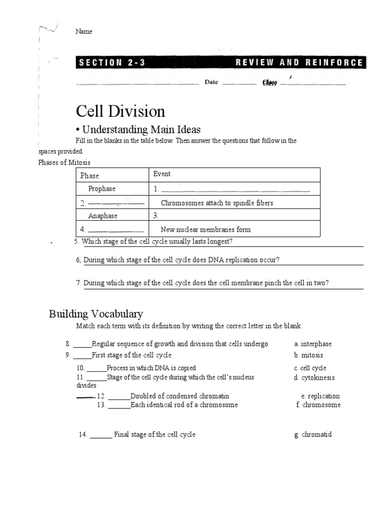 Sixth Grade Work For Cell Reproduction and Mitosis | PDF | Mitosis ...