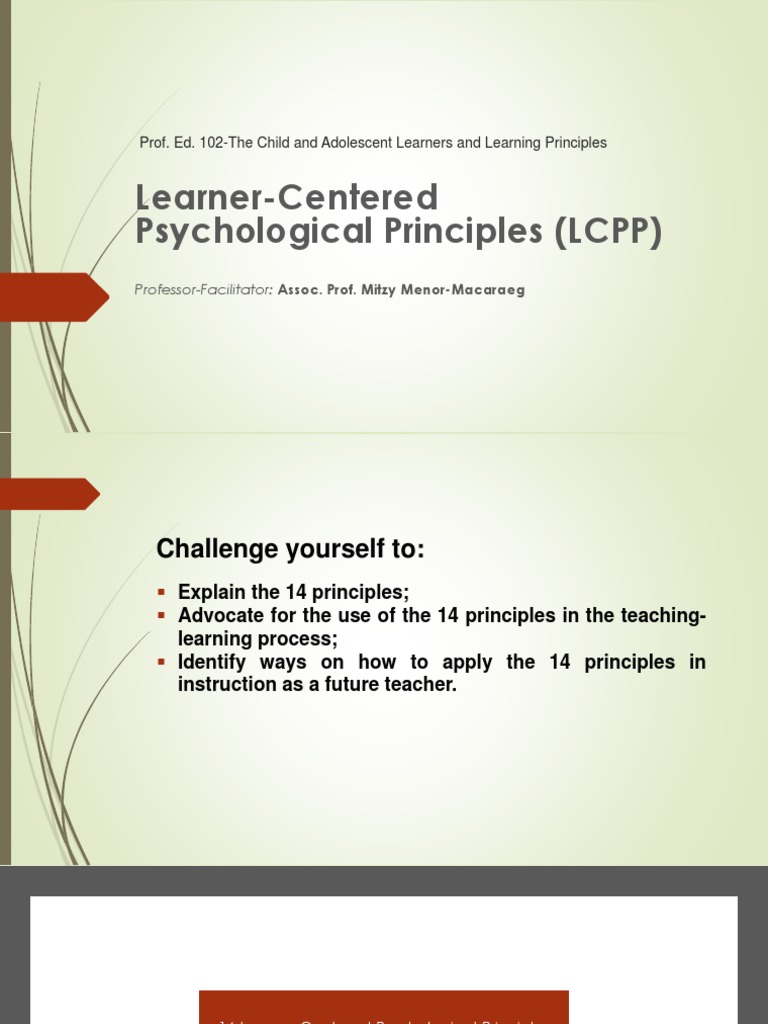 Learner-Centered Principles Guide | PDF | Metacognition | Motivational