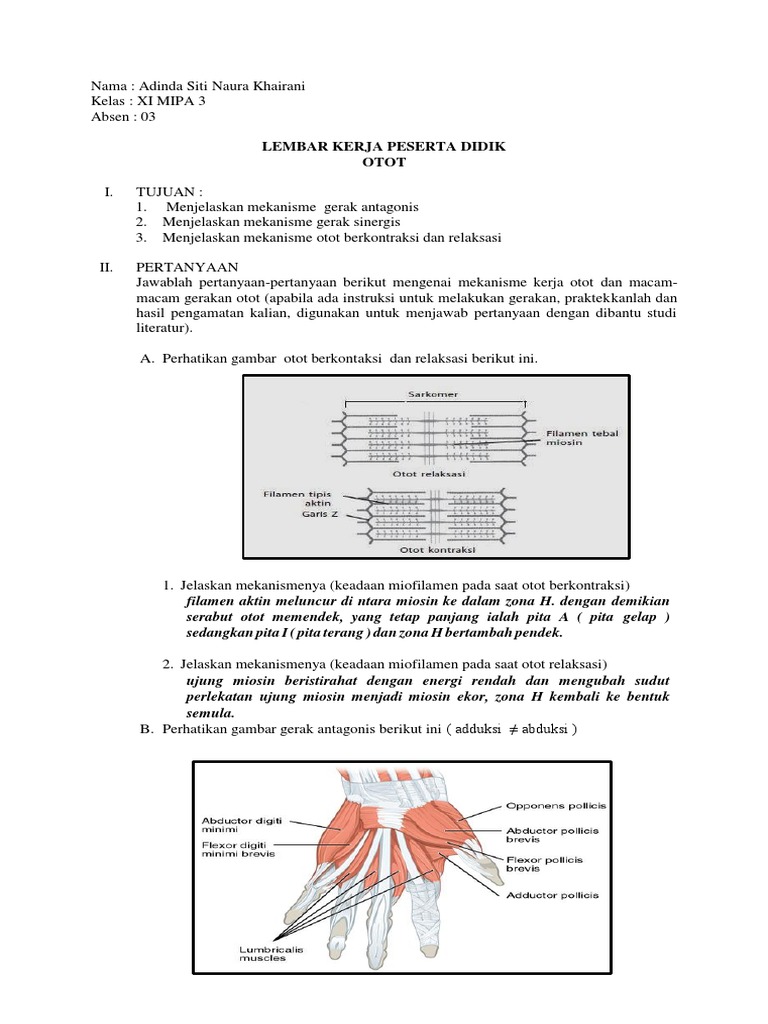 LKPD Otot Adinda Siti | PDF
