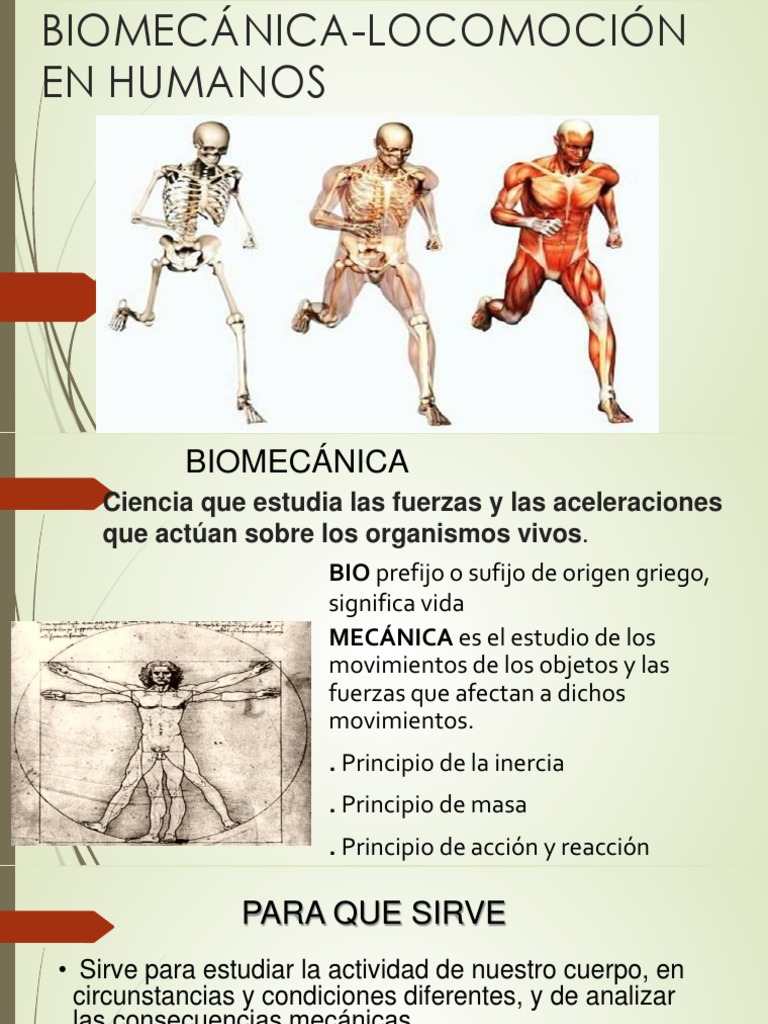 Biomecánica-Locomoción en Humanos | PDF | Palanca | Vector Euclidiano
