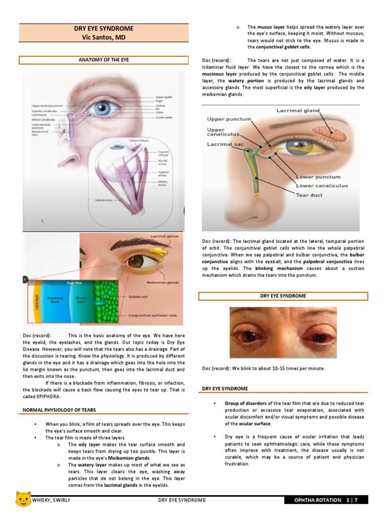 Understanding the Anatomy, Physiology, Pathogenesis and Clinical ...