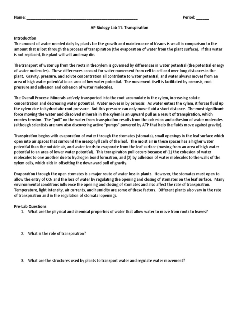 AP Lab 11 - Transpiration | PDF | Plants | Biology