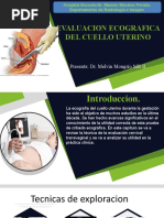 Guía de Cervicometría FECOPEN | PDF | Parto prematuro | Parto