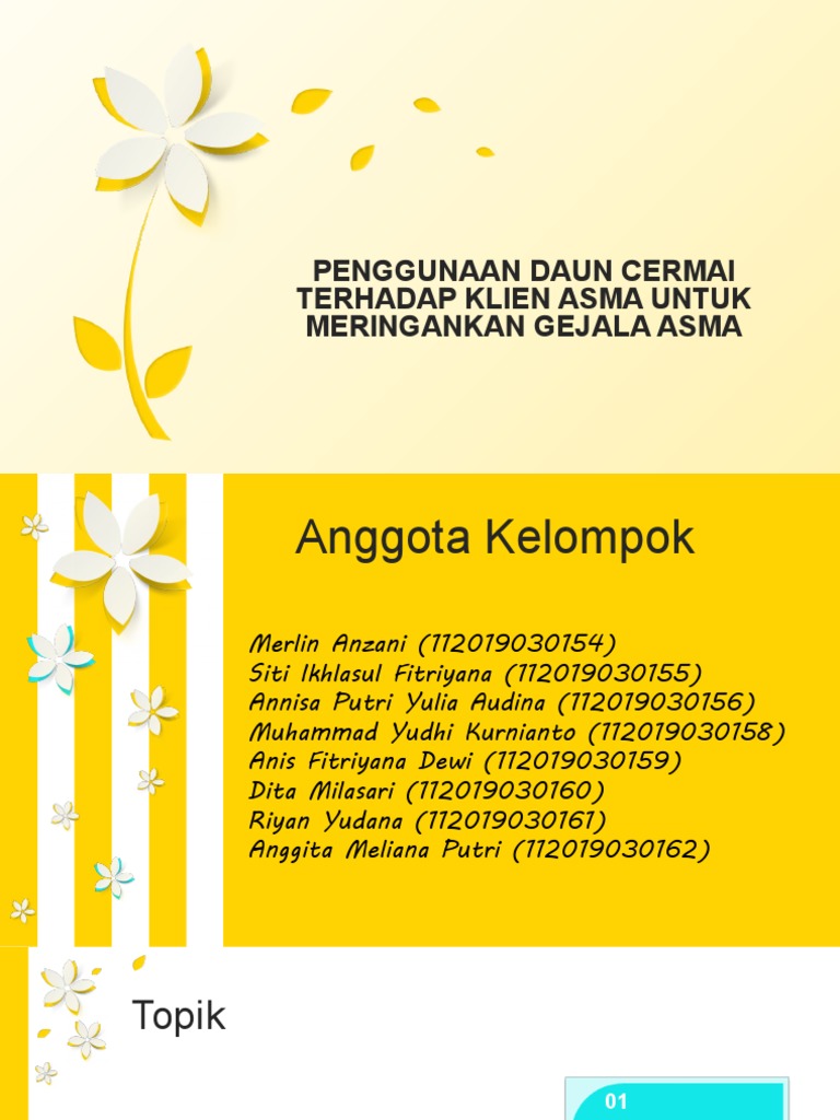 Daun Cermai ASMA | PDF