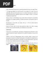 Comparativa: Ángulos de Meary y Costa-Bartani | PDF | Pie | Sistema ...