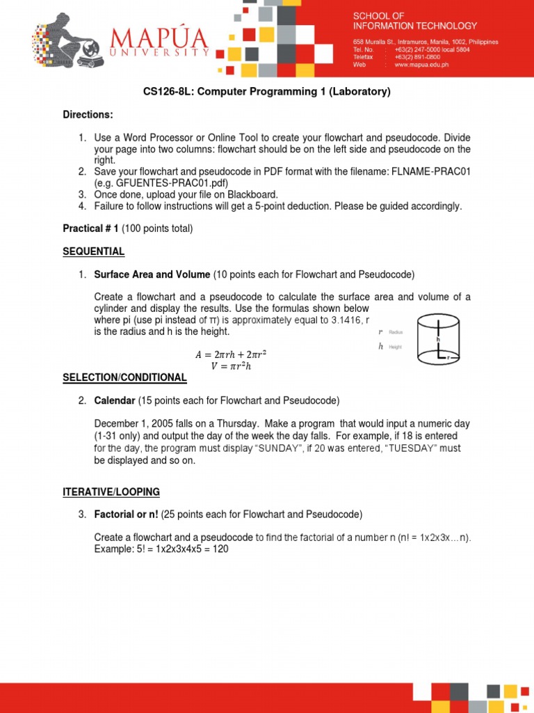 CS126-8L: Computer Programming 1 (Laboratory) : Directions | PDF