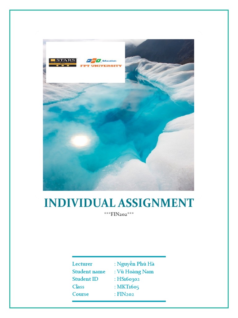 Individual Assignment - FIN202 | PDF | Inventory | Airlines