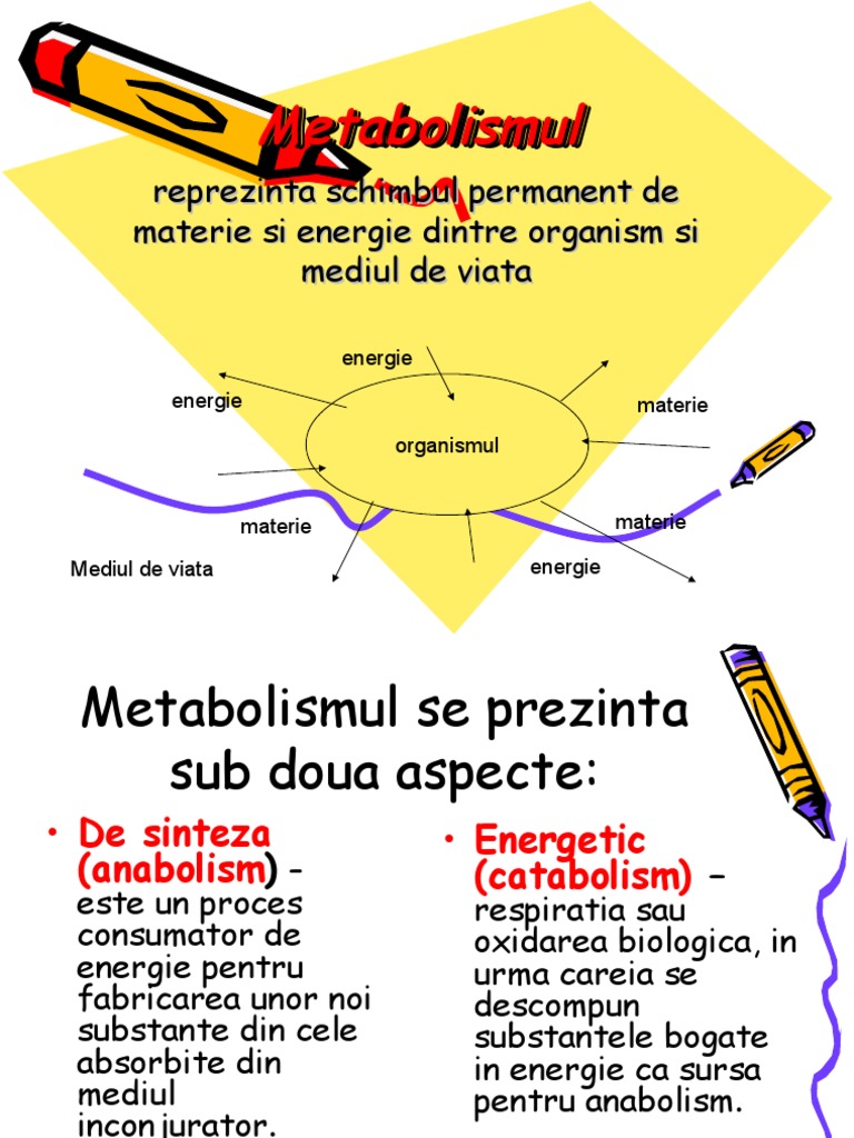 Metabolismul | PDF